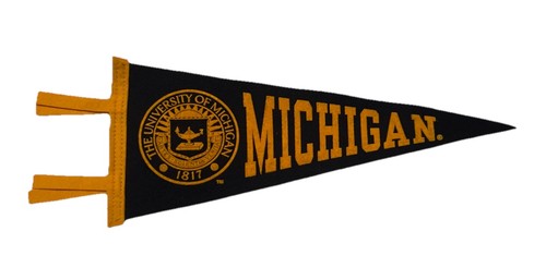Michigan Wolverines Soft Felt Small Banner - RARE | eBay