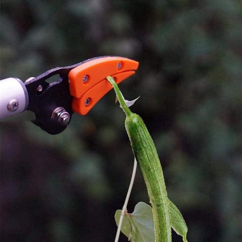 Fruit Picker Gripper Tree Long Cutter Catcher Pole, Greenhouse ...