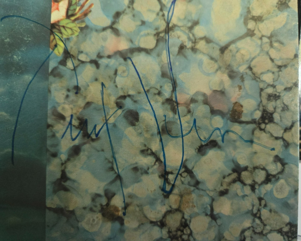 Tiny Tim autograph -GOD BLESS TINY TIM-vinyl LP w/CoA | eBay