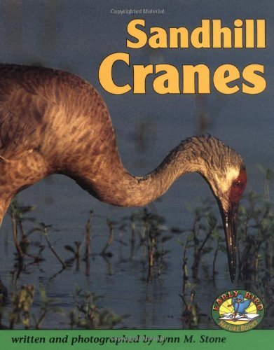Sandhill Cranes (Early Bird Nature Books) 9780822530275 | eBay