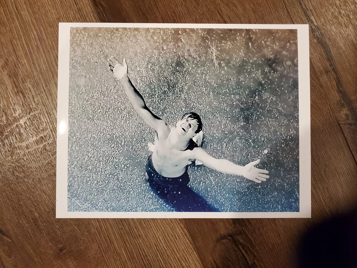 Shawshank Redemption Andy Escapes