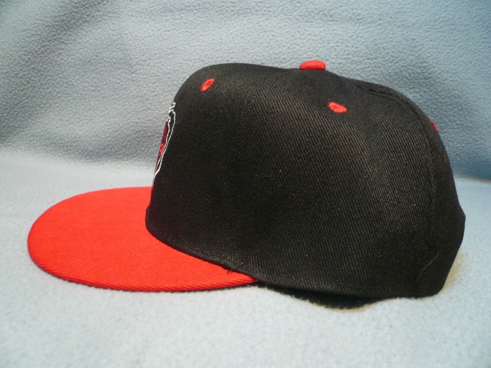 WWE Authentic Sheamus & Cesaro We Are "The Bar" BRAND NEW snapback hat ...