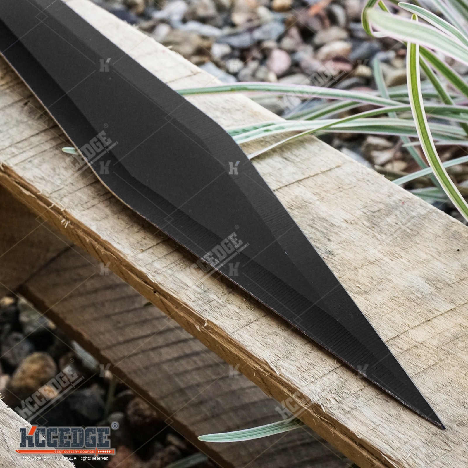 24" ROMAN BATTLE SWORD FULL TANG GLADIUS WITH SHEATH GLADIATORS | eBay