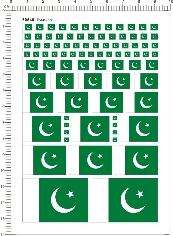 Pakistan Air Force Flag