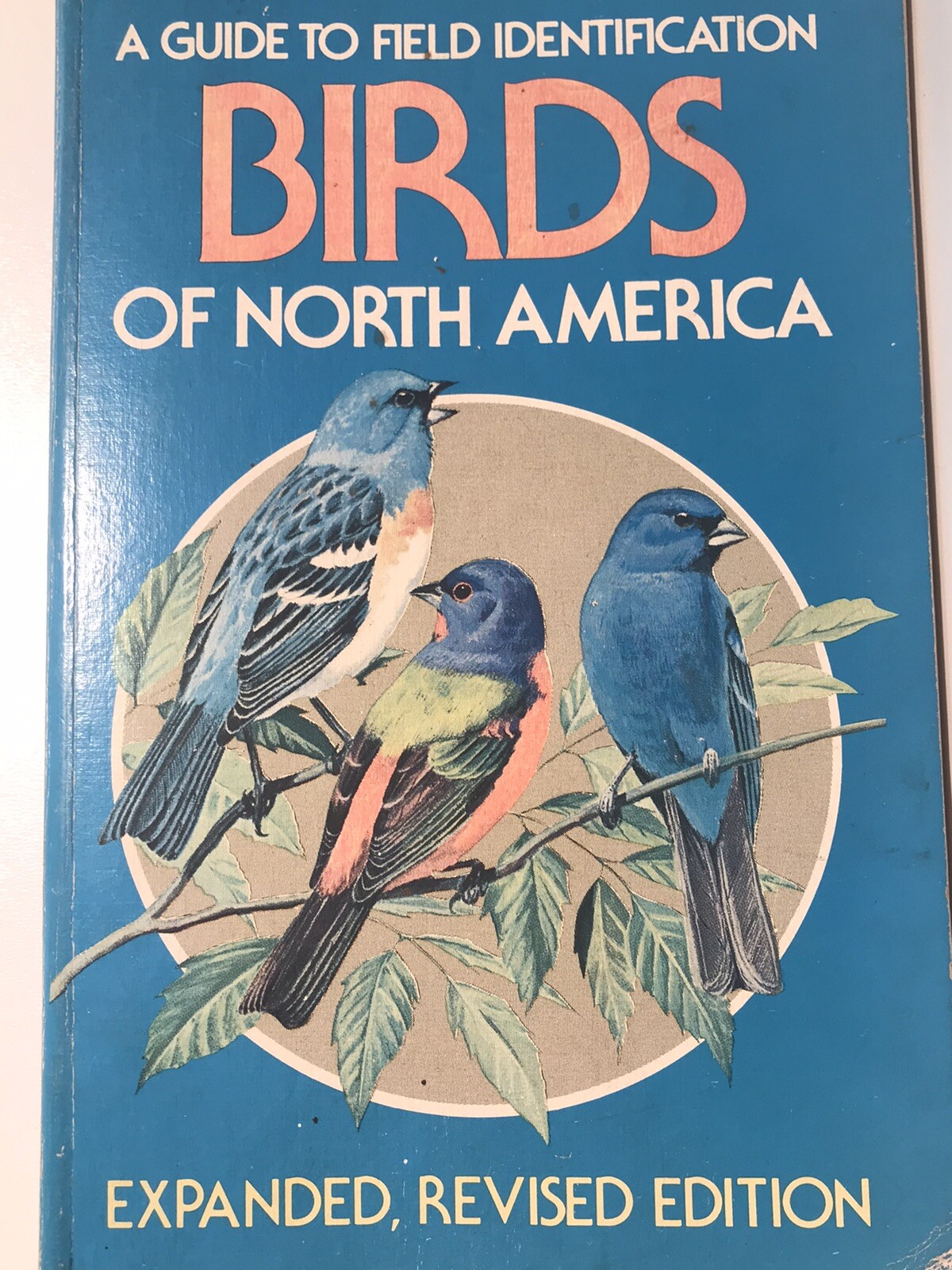 Golden Field Guides: Birds of North America by Chandler S. Robbins ...