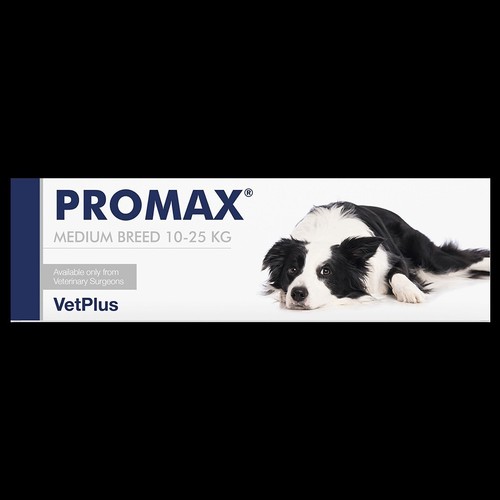 PROMAX Digestive Function Support for Dogs-1 x 18ml (Medium Breed Dogs ...