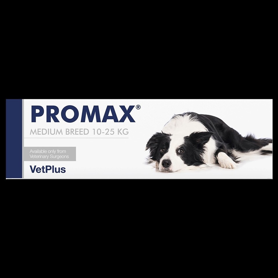 PROMAX Digestive Function Support for Dogs-1 x 18ml (Medium Breed Dogs ...