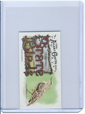 2025 Topps Allen & Ginter #SB-42 Mockingbird State Birds Mini | eBay