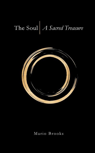 The Soul von Mario Brooks (2017, Taschenbuch) online kaufen | eBay.de