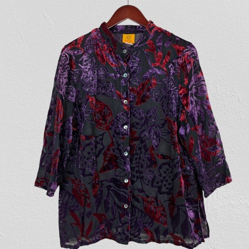 Ruby Rd Top Blouse Womens 12 Velvet Burnout Sheer Fairy Whimsigoth Boho ...