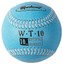 Markwort Weighted Baseball Throw Strength Accuracy Training 9" Ball New ...