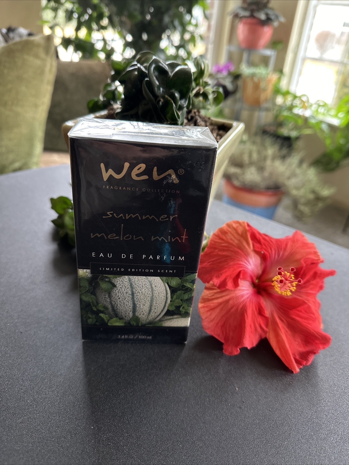 Wen Chaz Dean Summer Melon Mint Eau de Parfum Size 3.4oz 100 ml - New ...