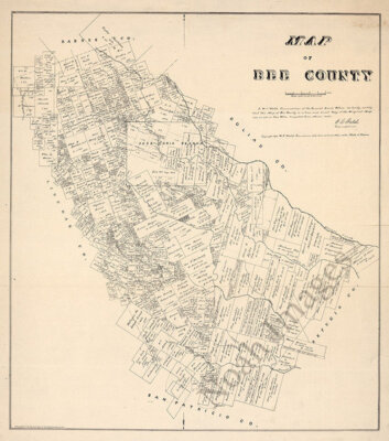 Map of Bee County Texas 16x16 | eBay