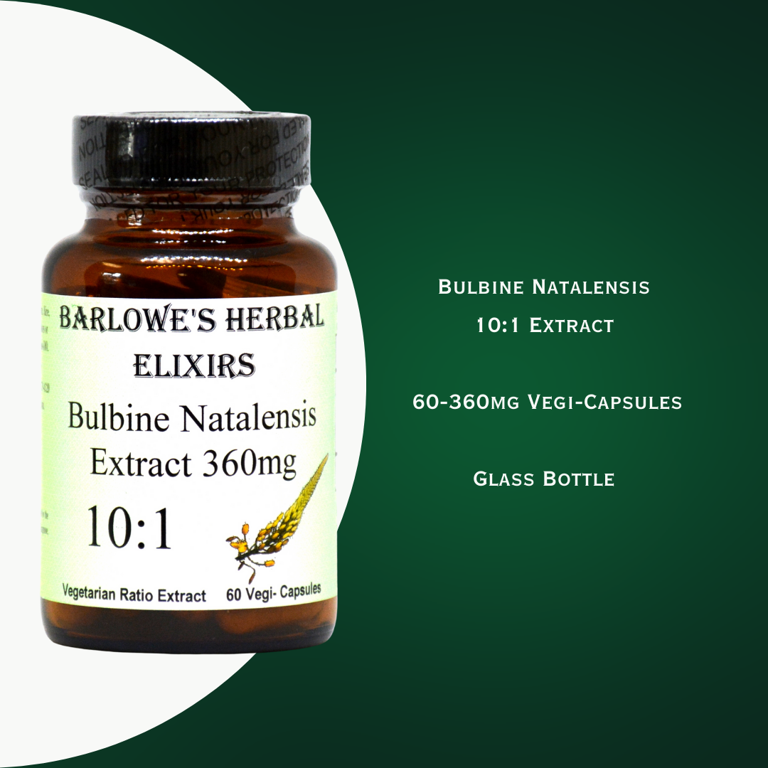 BULBINE NATALENSIS 10:1 EXTRACT | 360mg | 60 VEGGIE CAPSULES | BOTTLED ...