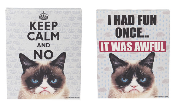 Calm Grumpy Cat