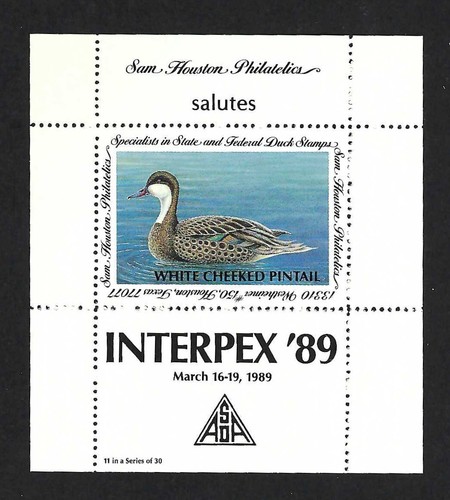 1989 White Cheeked Pintail Duck Stamp - Sam Houston Sheet - INTERPEX | eBay