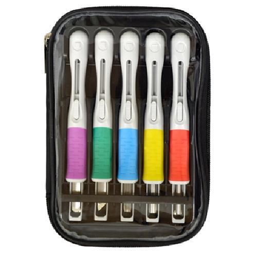 EHTS-5A [Sakura Grip Chisel SA 5-piece set] | eBay