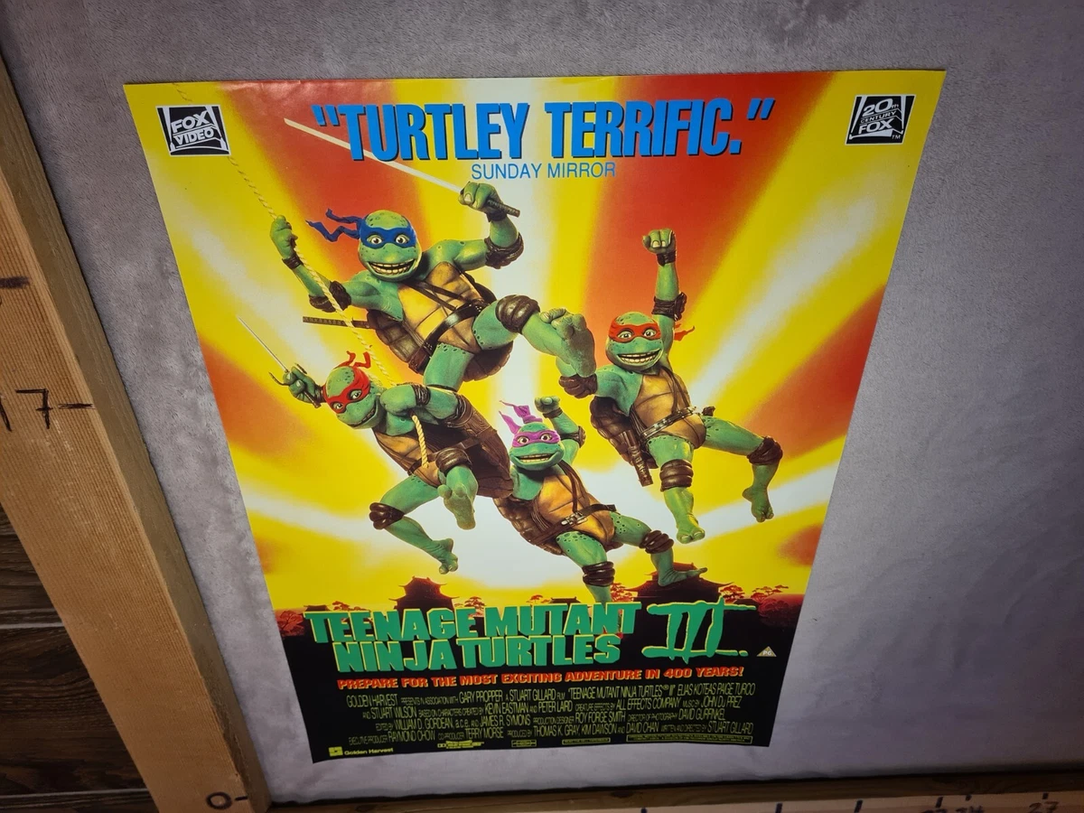 Stuart Wilson Ninja Turtles