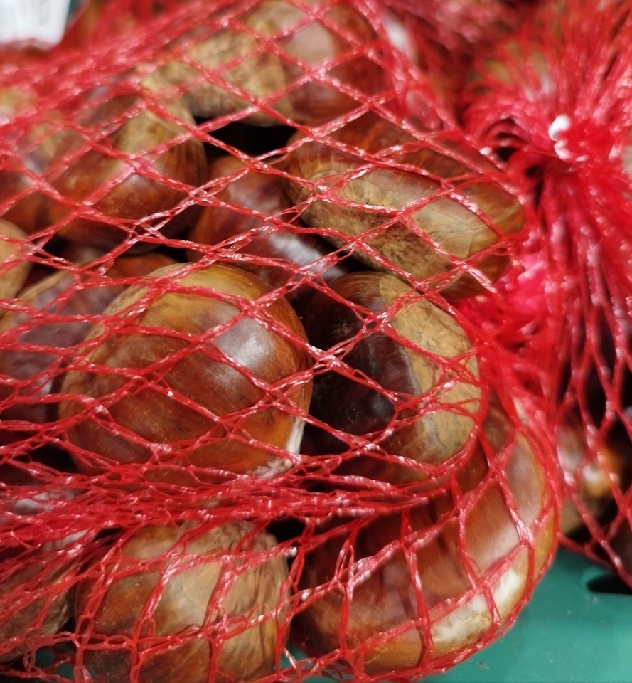 Fresh Chestnut(big size )500g---3kg | eBay UK