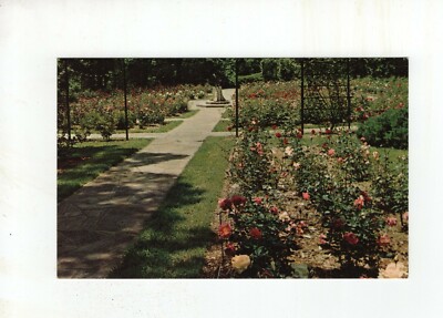Vintage Post Card - Rose Garden at the Des Moines Art Center - Des ...