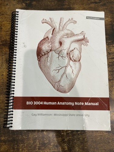 Bio 3004 Human Anatomy Note Manual Mississippi State University ...