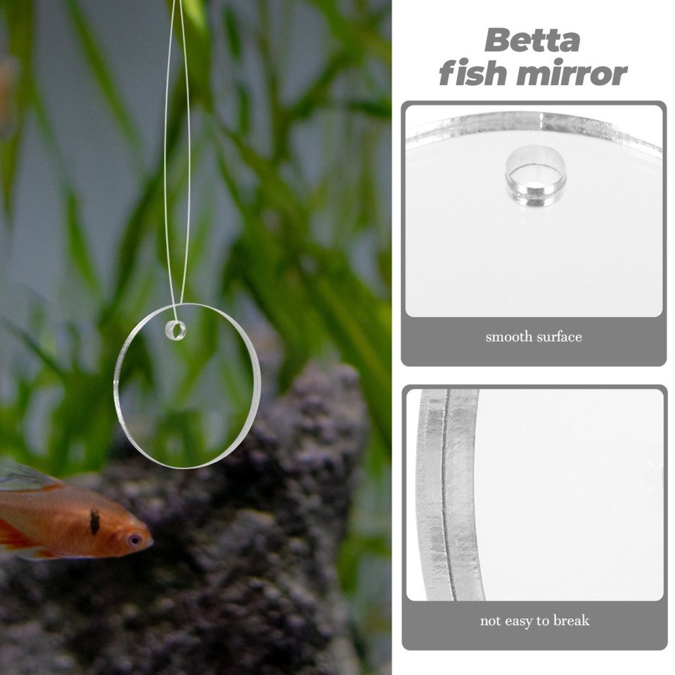 View Mirrors Fish Teasing Floating for Aquarium Betta Small Tank | eBay