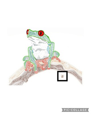 Sticky Tree Frog Line Art Drawing 5x7 Giclee Fine Art Print Sarah ...