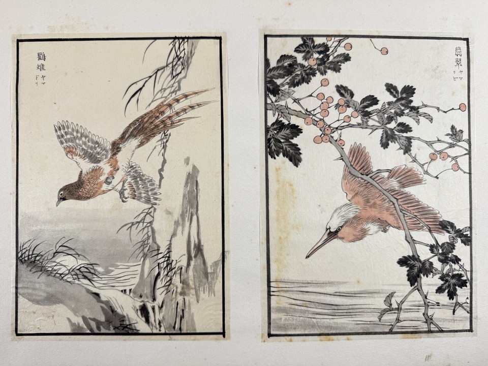 Japanese Drawing Book “Kachoshu” Picture of birds and flowers 49 ...