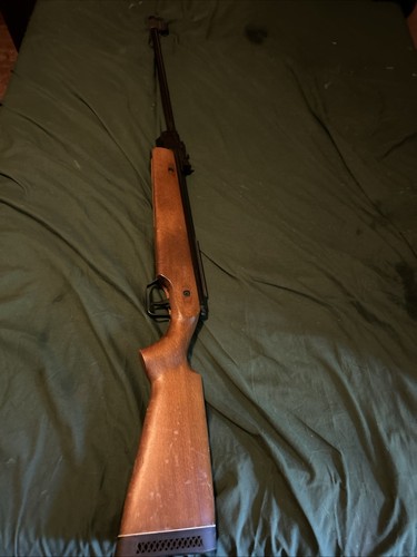 RWS Diana model 45 | eBay