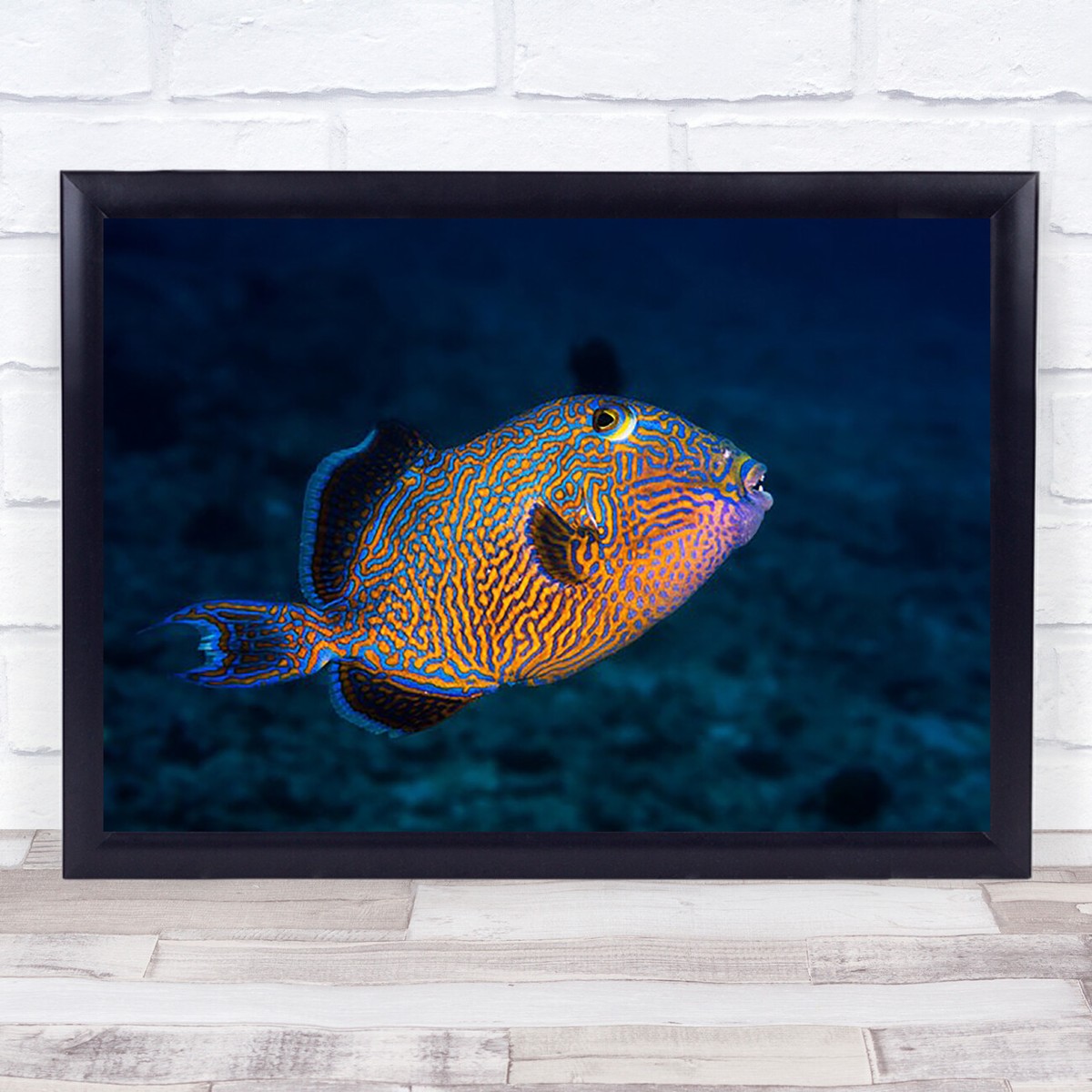 Reef Triggerfish Drawing Clown Trigger Fish Cloring For Kids| Fish