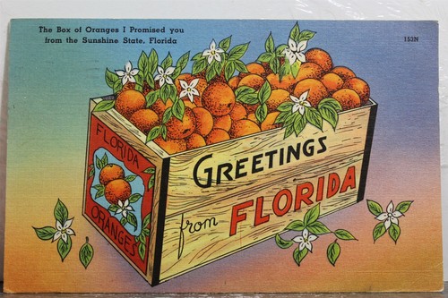 Florida FL Sunshine State Box of Oranges Postcard Old Vintage Card View ...