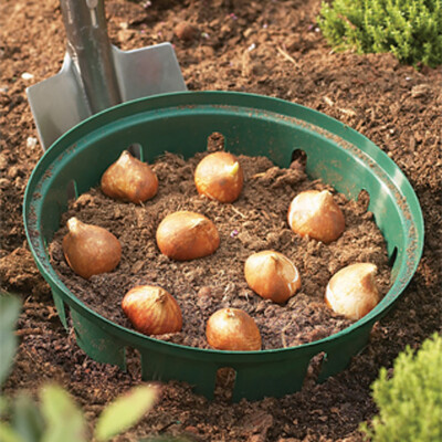 Bulb Planting Baskets, 3 x Round 26cm Containers for Easy Bulb Removal ...