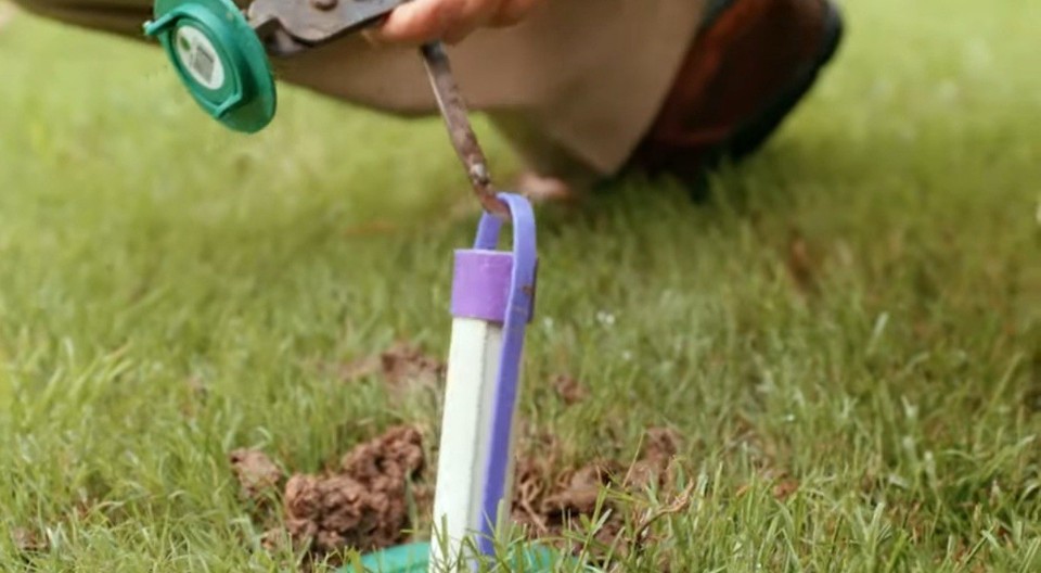 10 Ground Termite Bait Sticks Refill Free | eBay