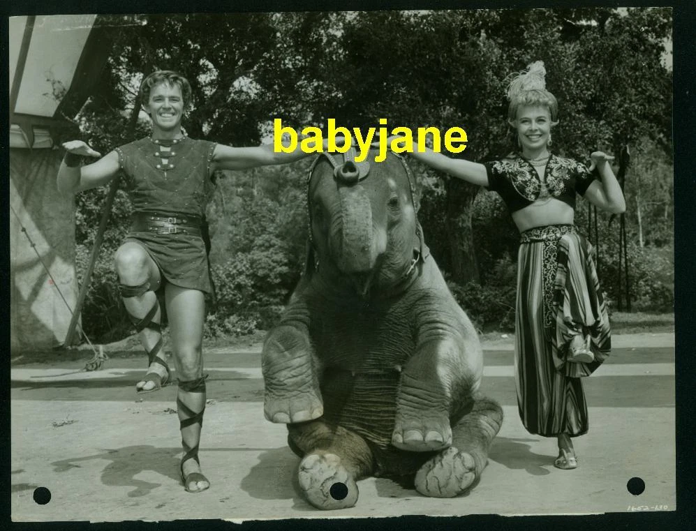 Gower Champion Elephant