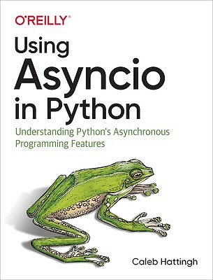 Using Asyncio in Python Understanding Python's Asynchronous Prog by Hattingh Cal 9781492075332 ...