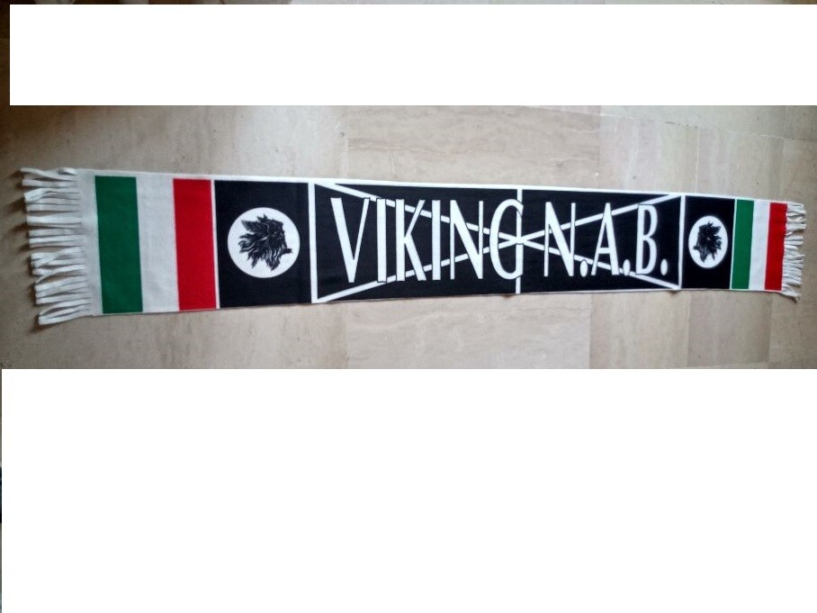 Viking Juventus Logo