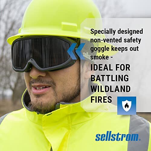 Sellstrom S80226 Safety Goggles & Glasses Wildland Fire OTG Eye ...