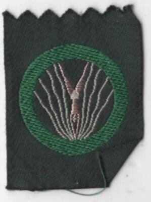 International Scout Badge GREEN Bdr. [INT466] | eBay