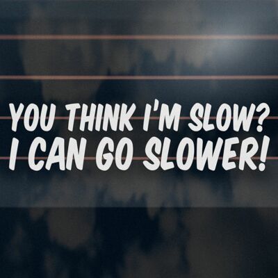 THINK I'M SLOW Sticker 210mm slower warning car window vinyl decal ...