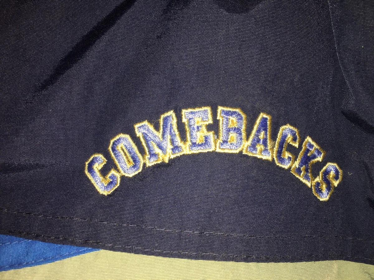 The Comebacks Cast