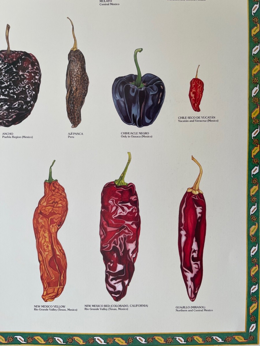 Chili Pepper Identification Poster PLANSCH, "Chili Peppers", Italy,