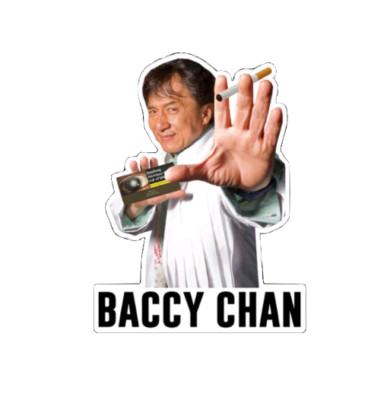 BACCY CHANN Sticker / Decal - meme, aussie , Meme Cute Funny JDM Slap ...
