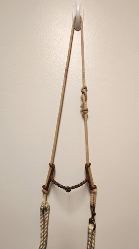 Sliding Gag Bridle 5.25" Twisted Sweet Iron Bit Roper Reins Barrel ...