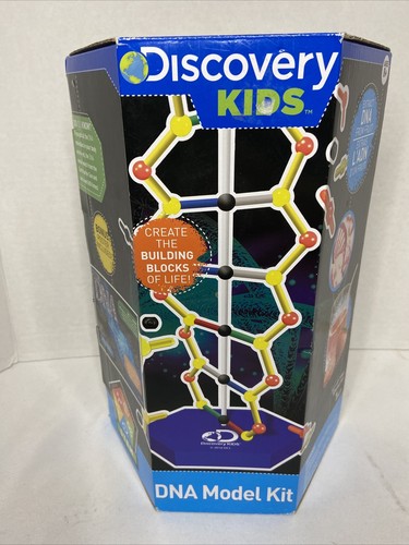 Discovery Kids DNA Model Kit STEM 765940700624| eBay