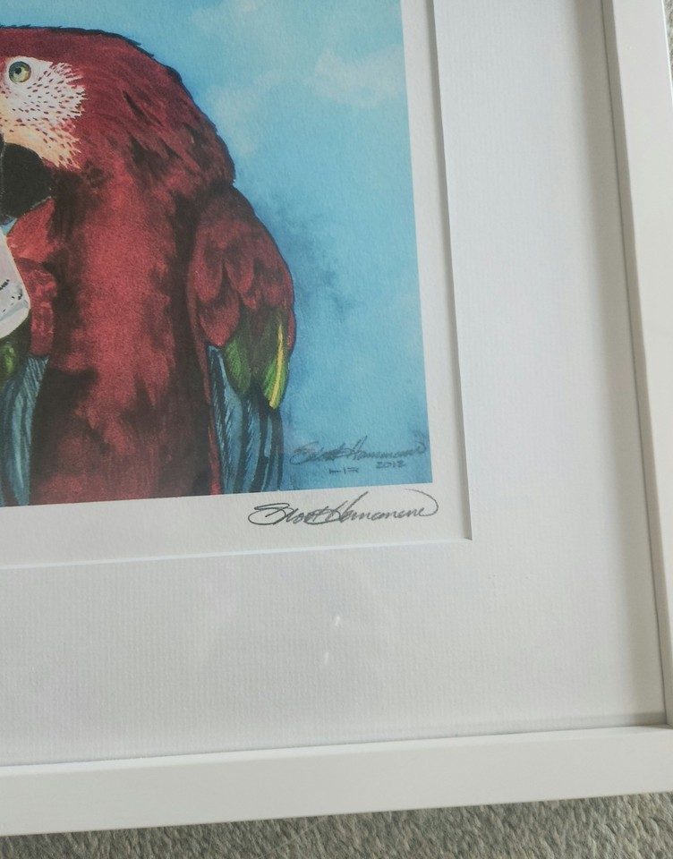 Brett Hammond Limited Edition Print – “Parrot with Patrón” (2012 ...