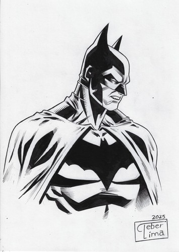 BATMAN 8X11 ORIGINAL PAGE BY CLEBER LIMA F1 | eBay