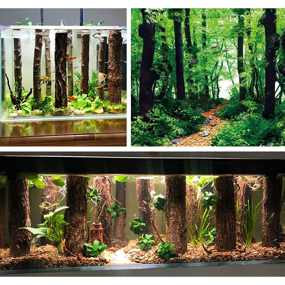 Planted Tank Forest