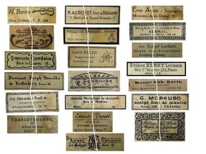 V121 Old Vintage Antique Violin Fiddle Maker Set of 20 Labels NICE! | eBay