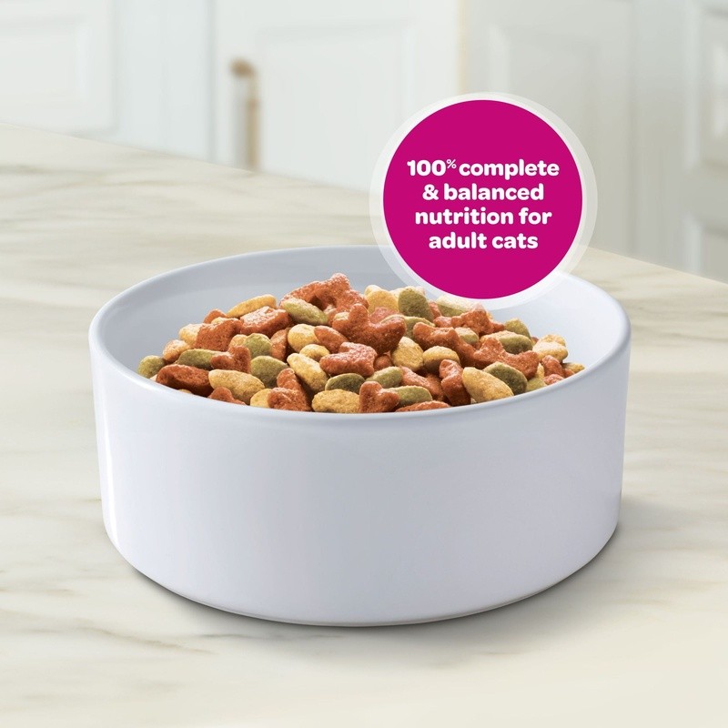 Plus Care Cat Food Dry Kibble Tuna Egg Urinary Immune Digestive Support ...