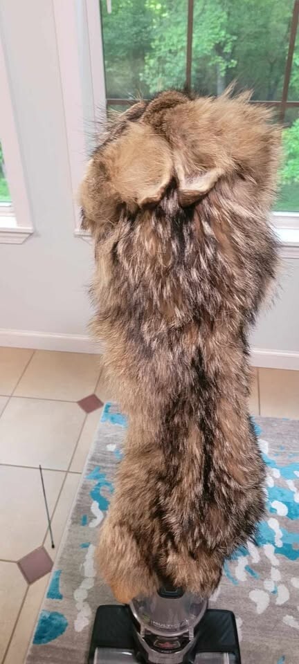 Coyote Fur Hat USA Faced Mountain Man Trapper Lined Genuine Pelt made ...